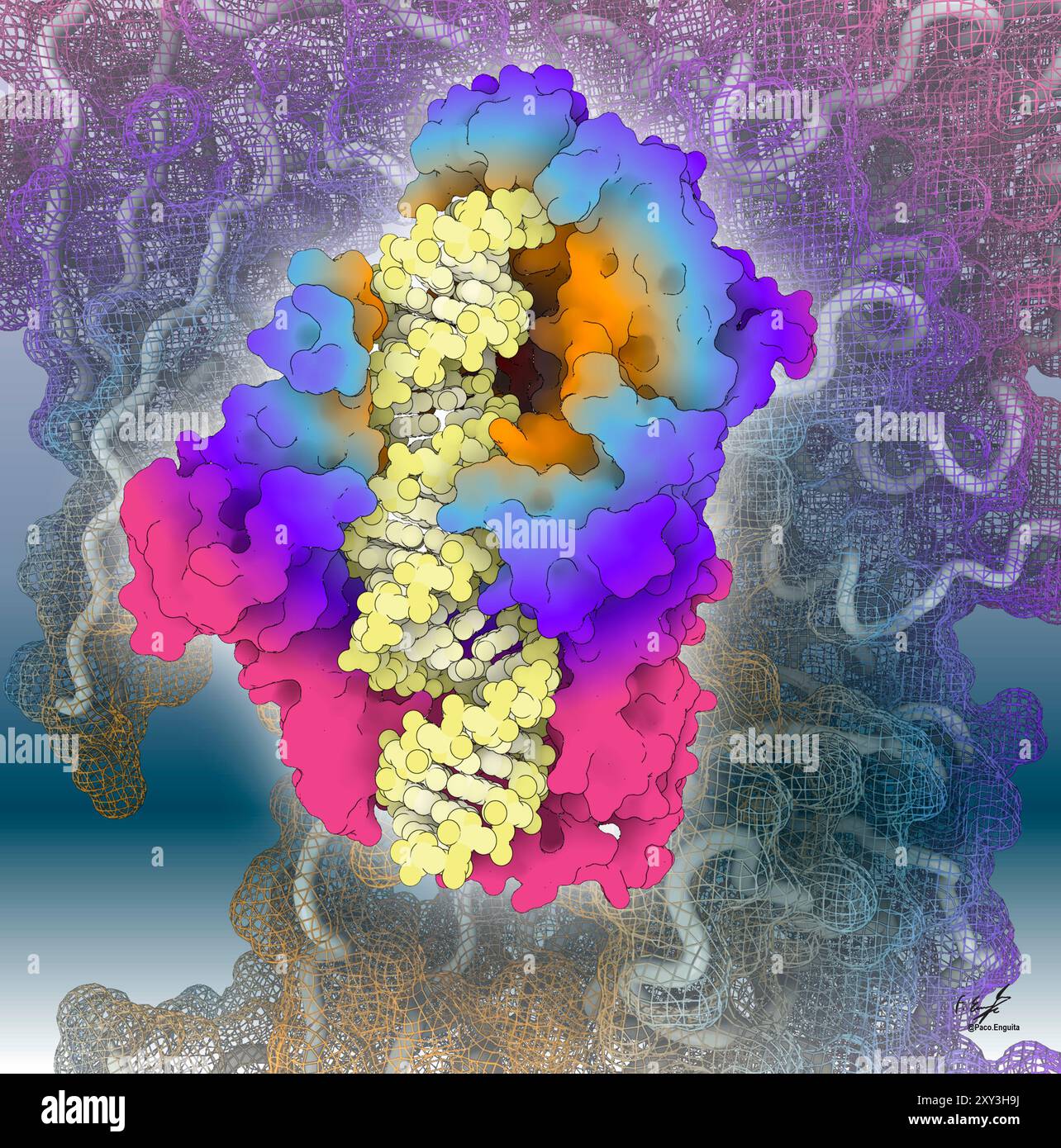 Illustration of the dicer-like protein 3 (DCL3) from thale cress ...