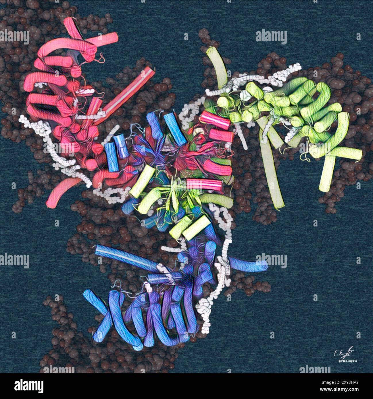 Illustration of the mechanosensitive ion channel Piezo1 in its closed ...