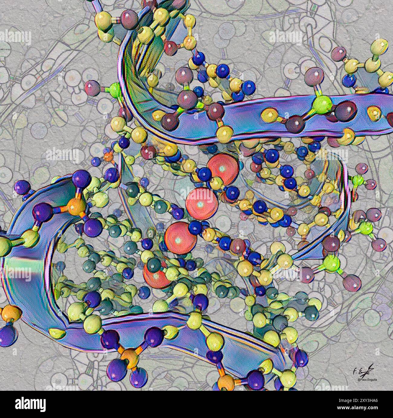 Illustration of a dimeric interlocked parallel DNA (deoxyribonucleic ...