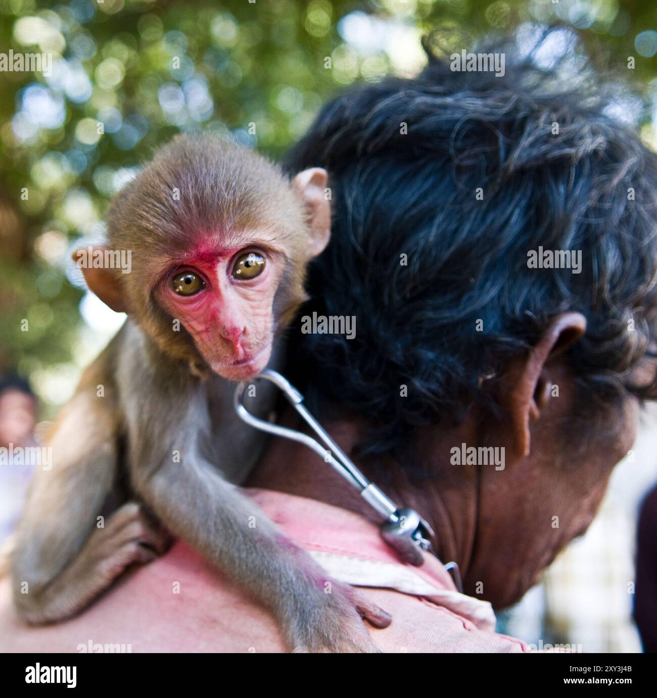 An Odia man with his baby macaque monkey. Photo taken in a small weekly ...