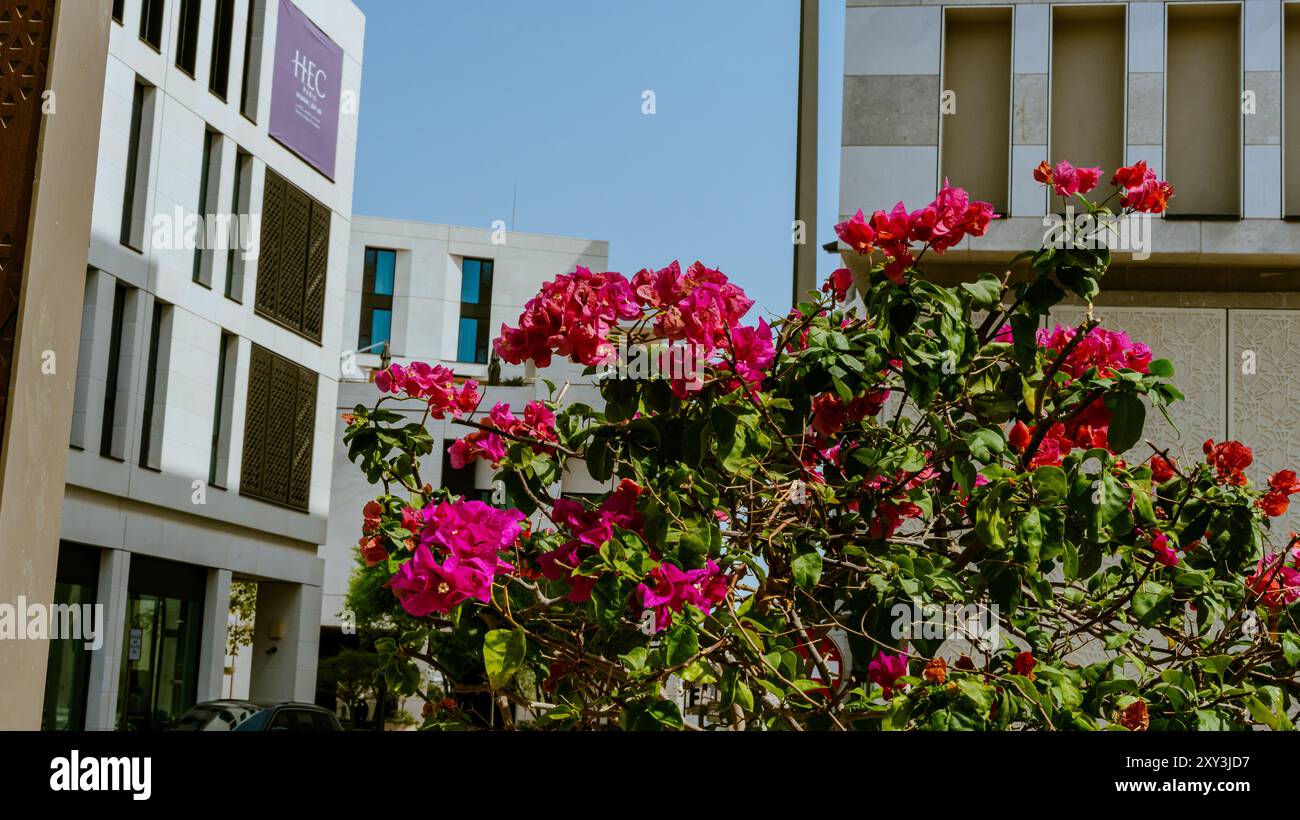 Building Architecture of Msheireb Downtown Doha Qatar. High quality ...