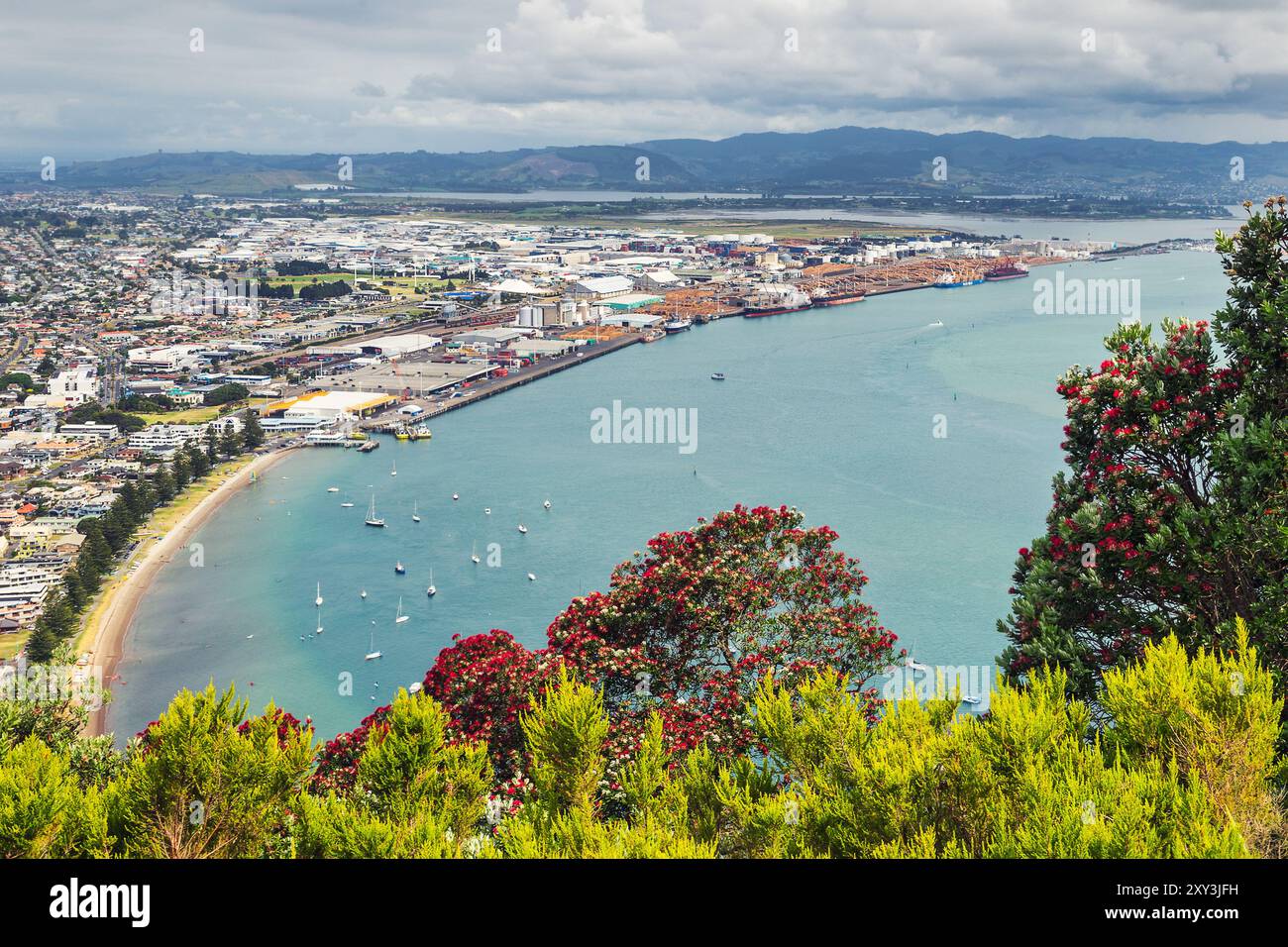 New Zealand Ports Tauranga – Port Of Tauranga Nz – XNCNS