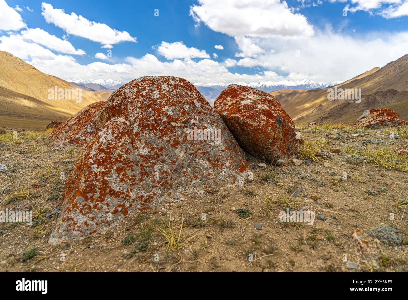 Fossil formed on rocks at a high-altitude mountain pass called Warila ...