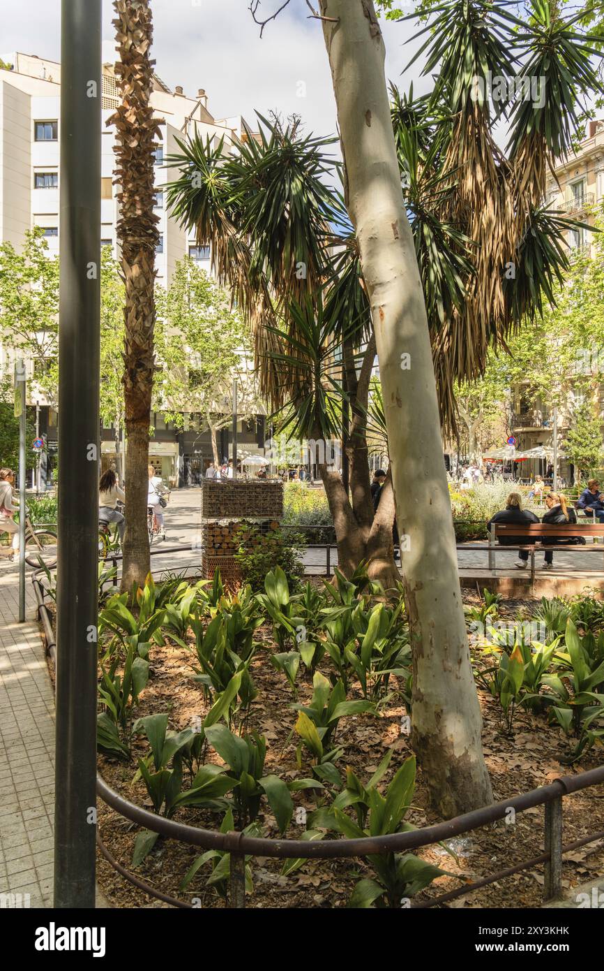 The Eixample superblock, car-free and pedestrianised area in the centre ...