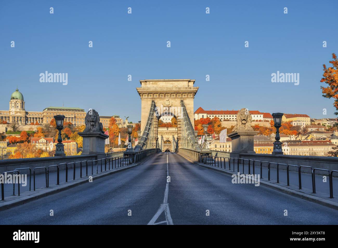 Budapest Hungary, city skyline at Chain Bridge and Buda Castle with ...