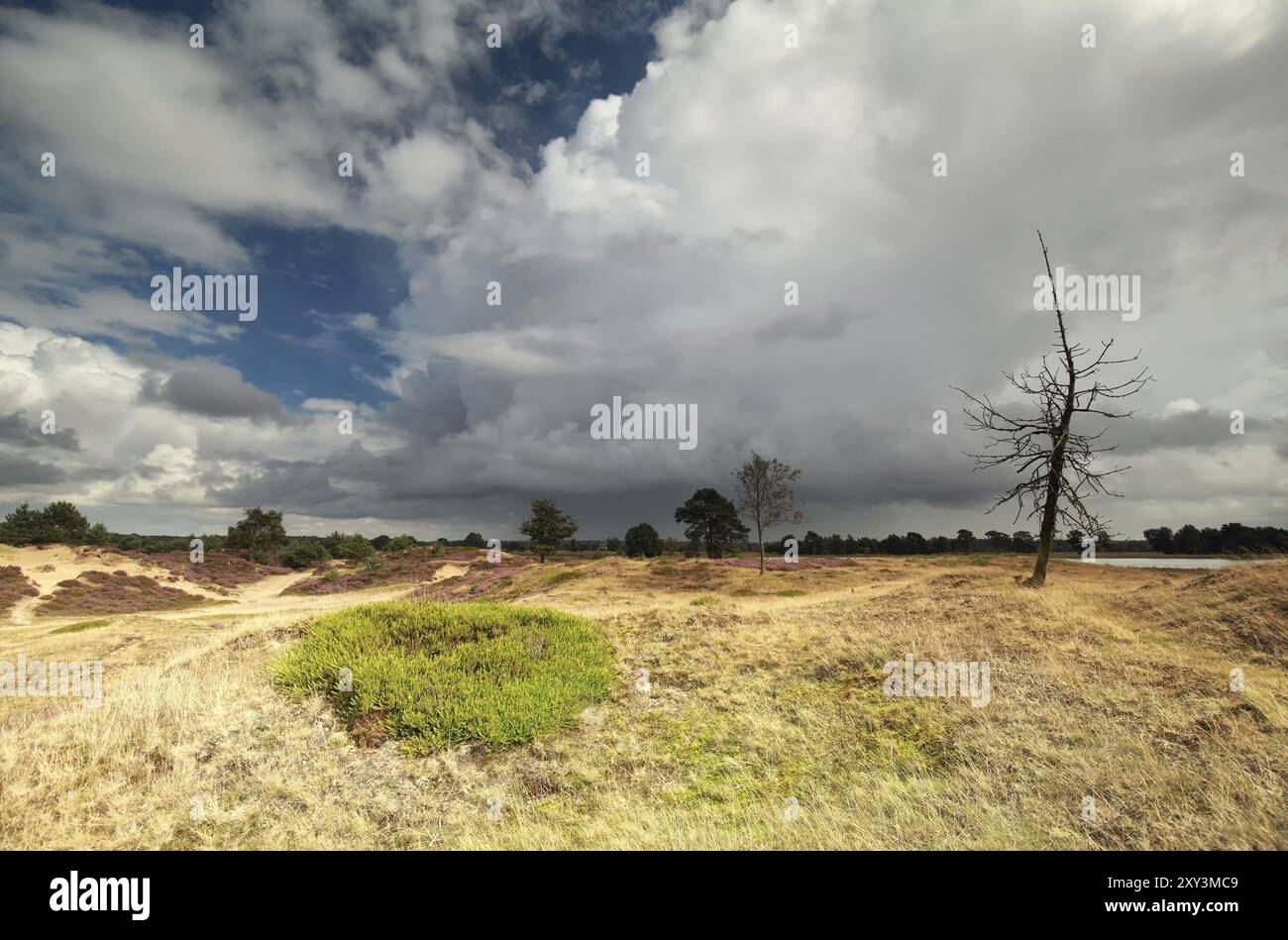 Stormy cloudy hi-res stock photography and images - Alamy