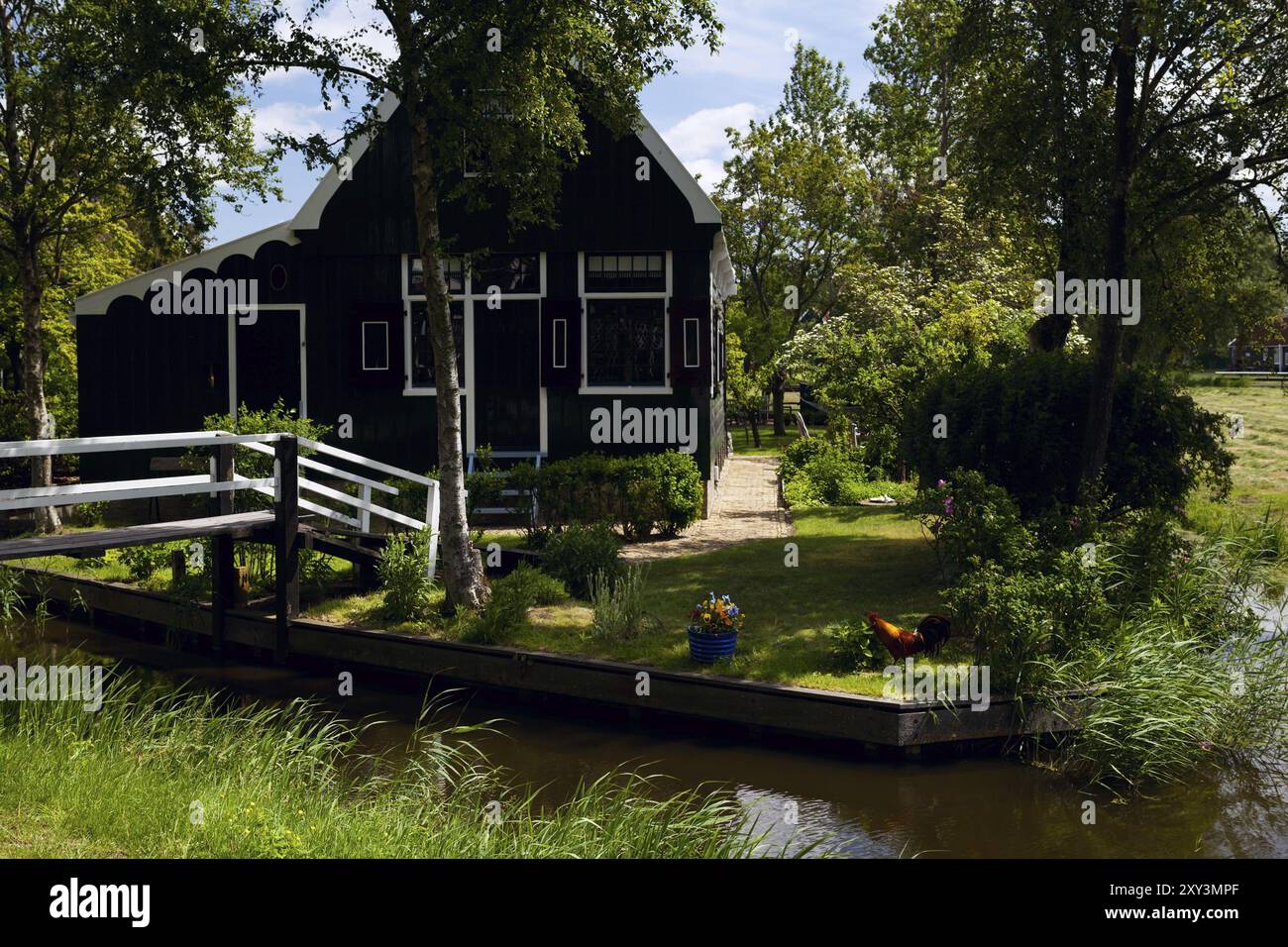Green yard close to small wooden house Stock Photo - Alamy