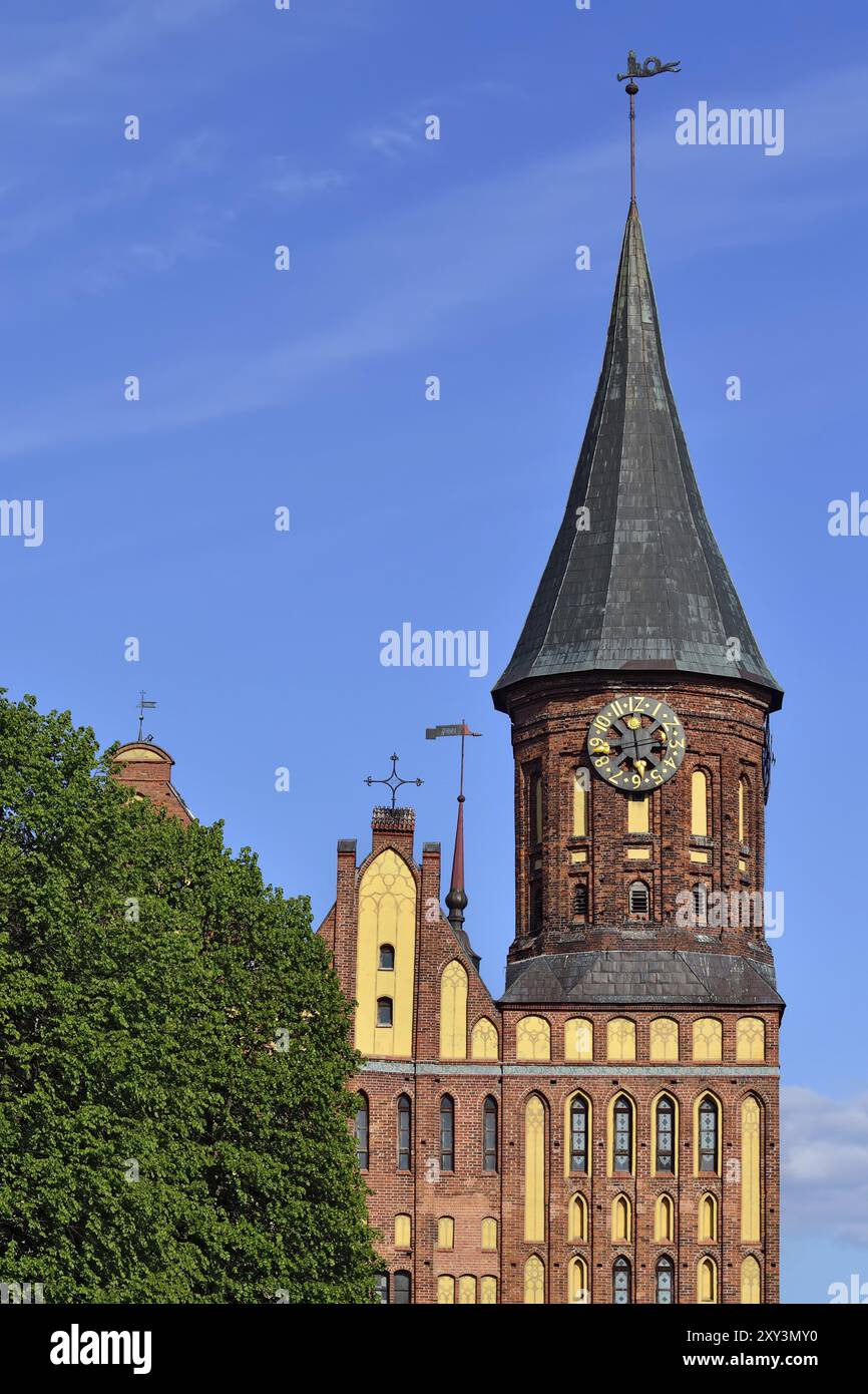 Tower of the Koenigsberg Cathedral. Gothic 14th century. Symbol of the ...