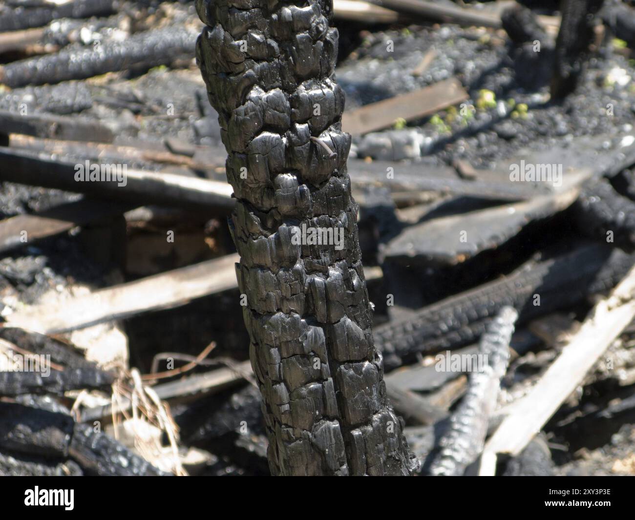 Ruined wood log house burnt by fire to black coal Stock Photo - Alamy