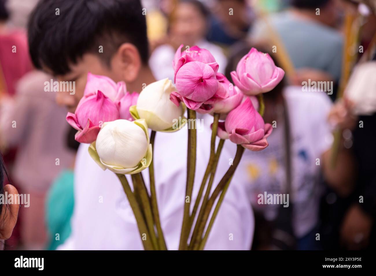 Lotus flowers for offering at Lok Ta Dombong Dek, Lok Ta Krohom Ko and ...