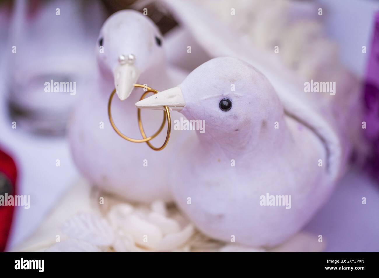 Two doves wedding rings hi-res stock photography and images - Alamy