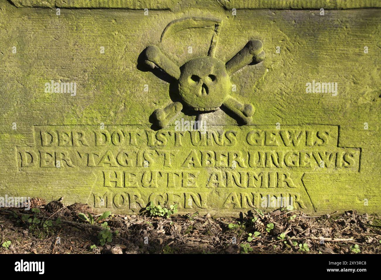 German grave skeleton hi-res stock photography and images - Alamy