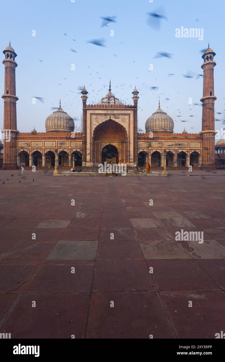 Birds fly around the courtyard of Jama Masjid, the main mosque in Delhi ...