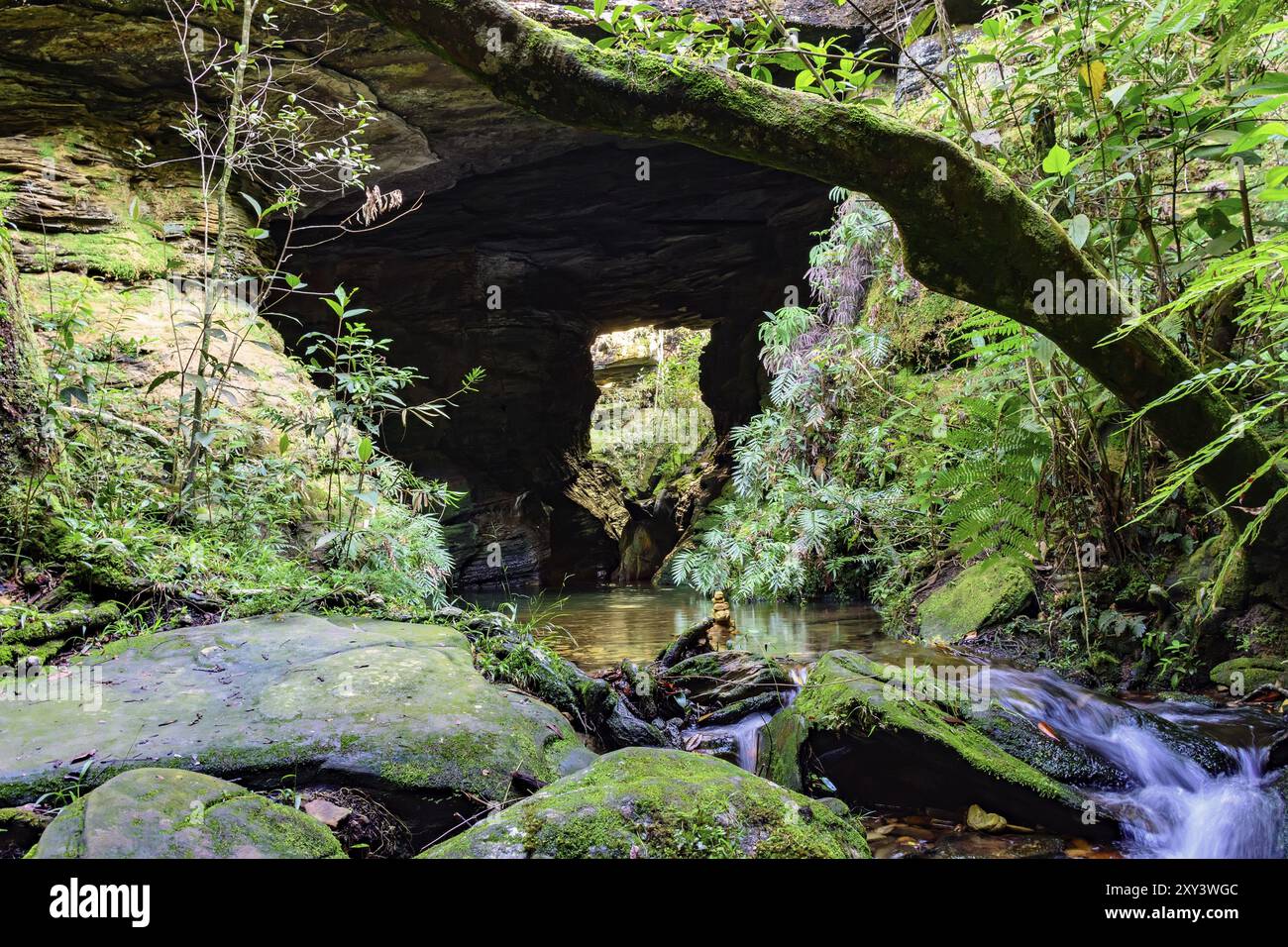 River among rocks, moss, cave and the rainforest of Carrancas, Minas ...