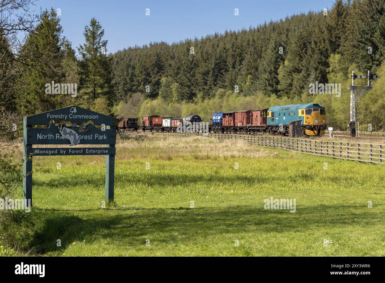 Swamp train hi-res stock photography and images - Alamy