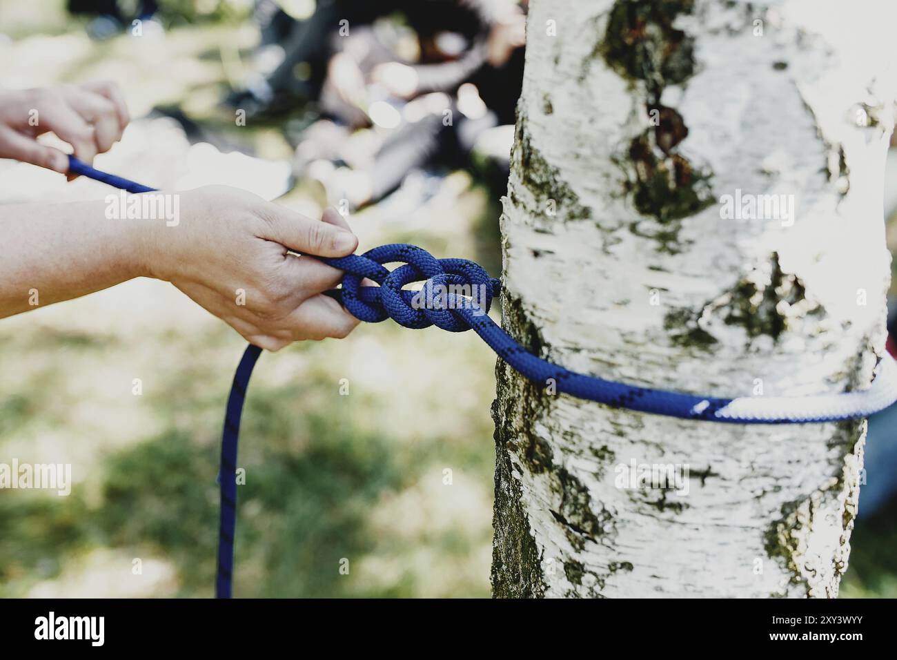 Women hands pull a strong blue rope tied to a birch tree. Professional ...