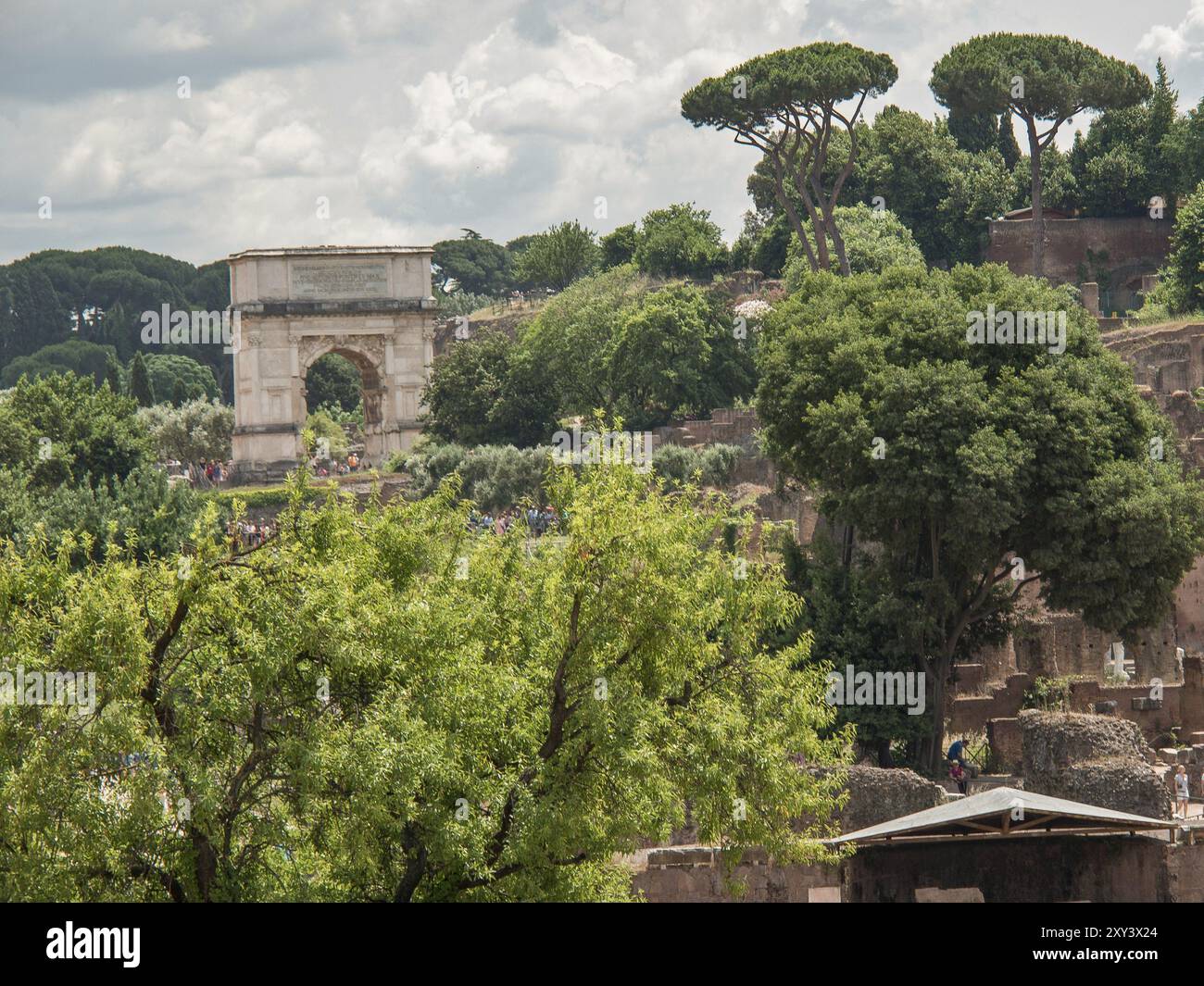 Ancient ruins nestled in lush greenery, surrounded by trees and cloudy ...