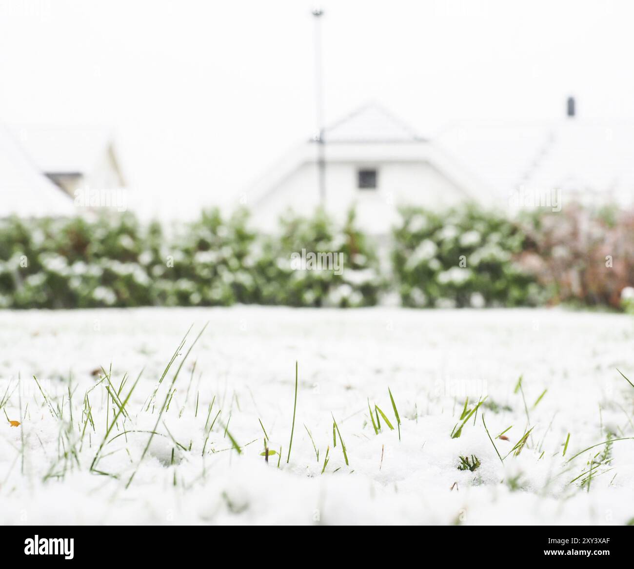 Covered layer snow grass hi-res stock photography and images - Alamy
