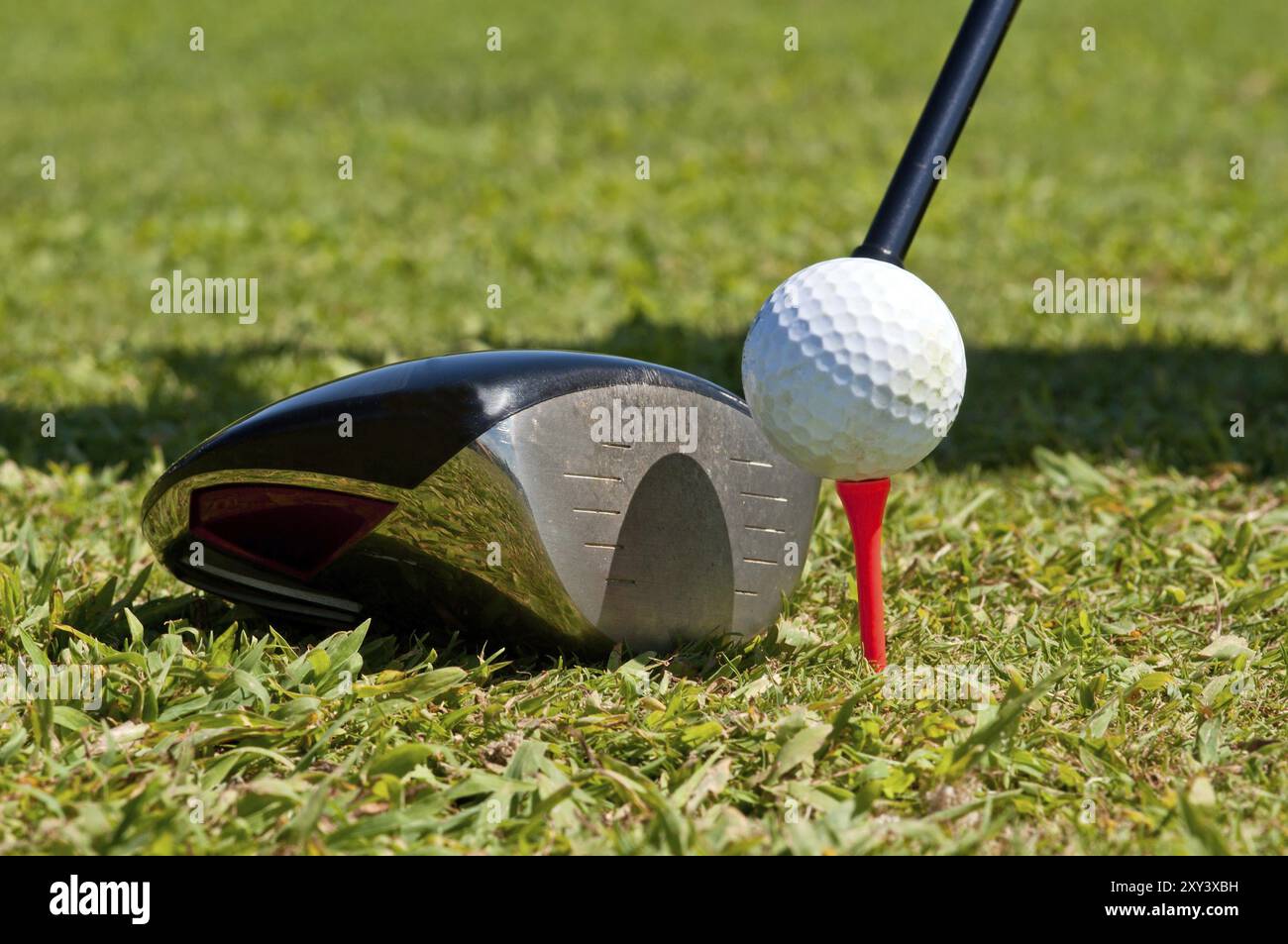 Golf ball and driver, ready to strike, on a real golf course Stock ...