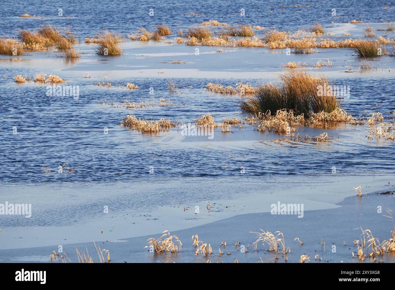 Melting ice on lake during spring Stock Photo - Alamy