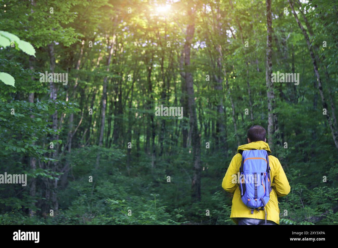 Man takes stroll in forest hi-res stock photography and images - Alamy