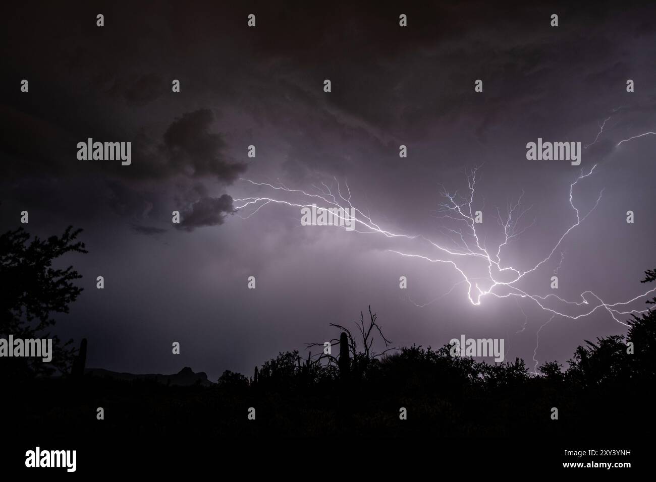 Monsoon storm lightning tucson arizona usa sonoran desert hi-res stock ...