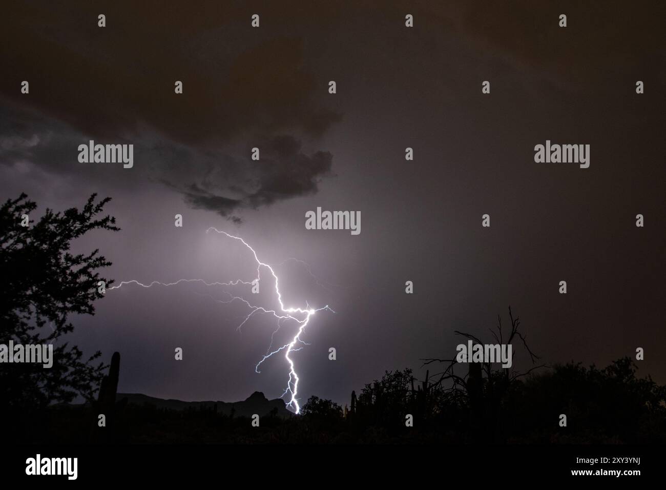 Lightning over the Arizona desert at night Stock Photo - Alamy