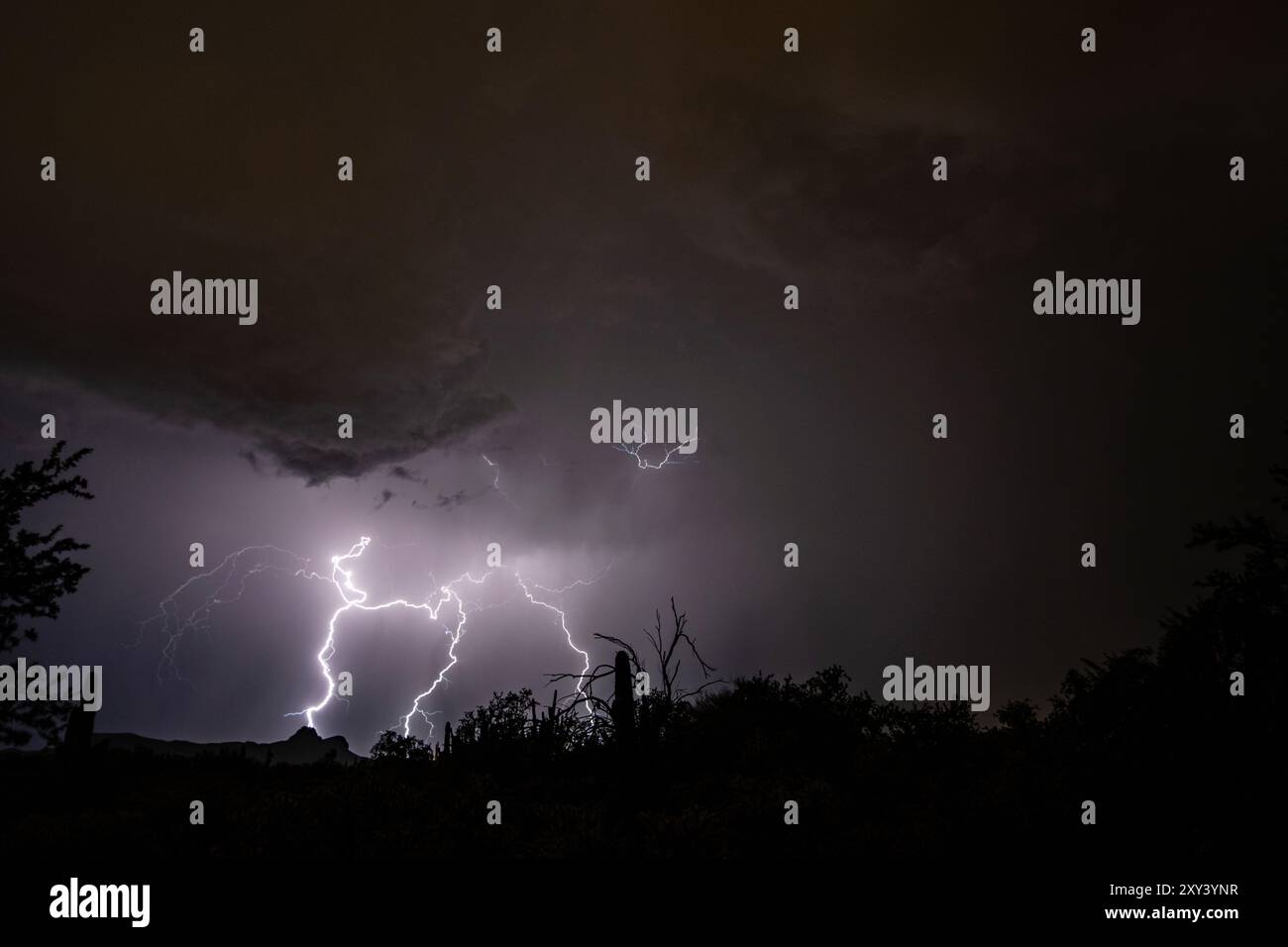 Lightning over the Arizona desert at night Stock Photo - Alamy
