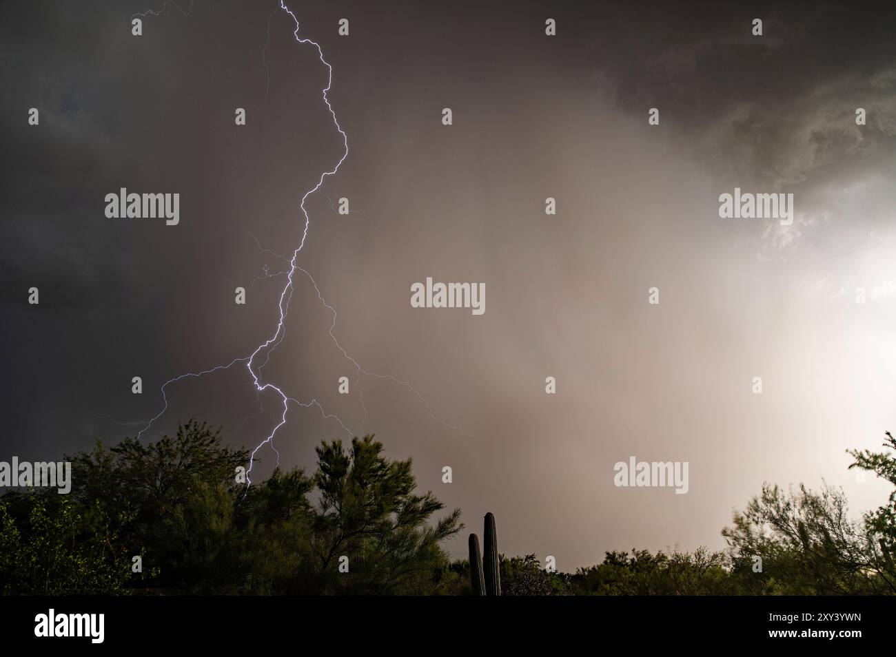 Monsoon storm lightning tucson arizona usa sonoran desert hi-res stock ...