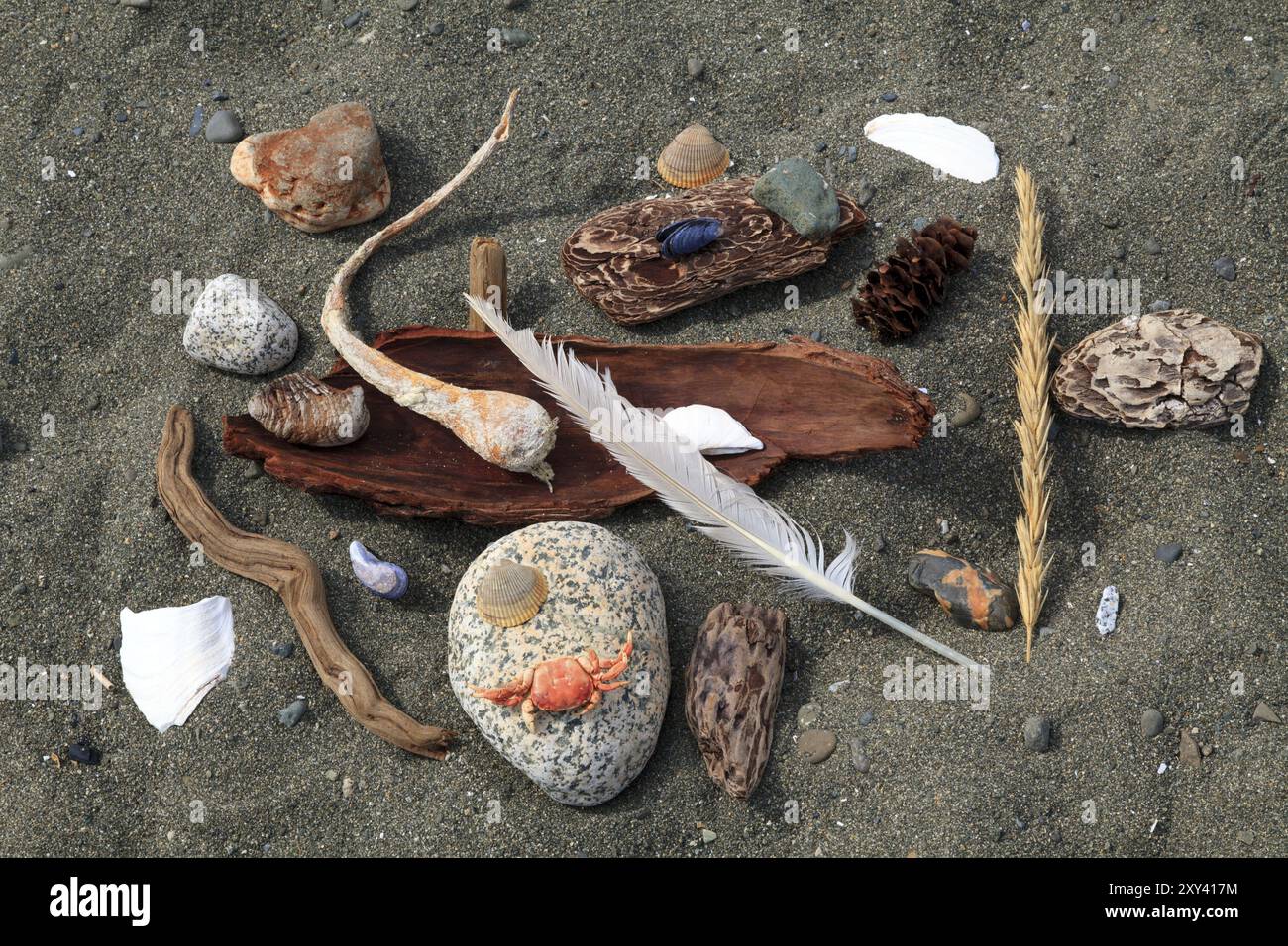 Still life on the beach Stock Photo - Alamy