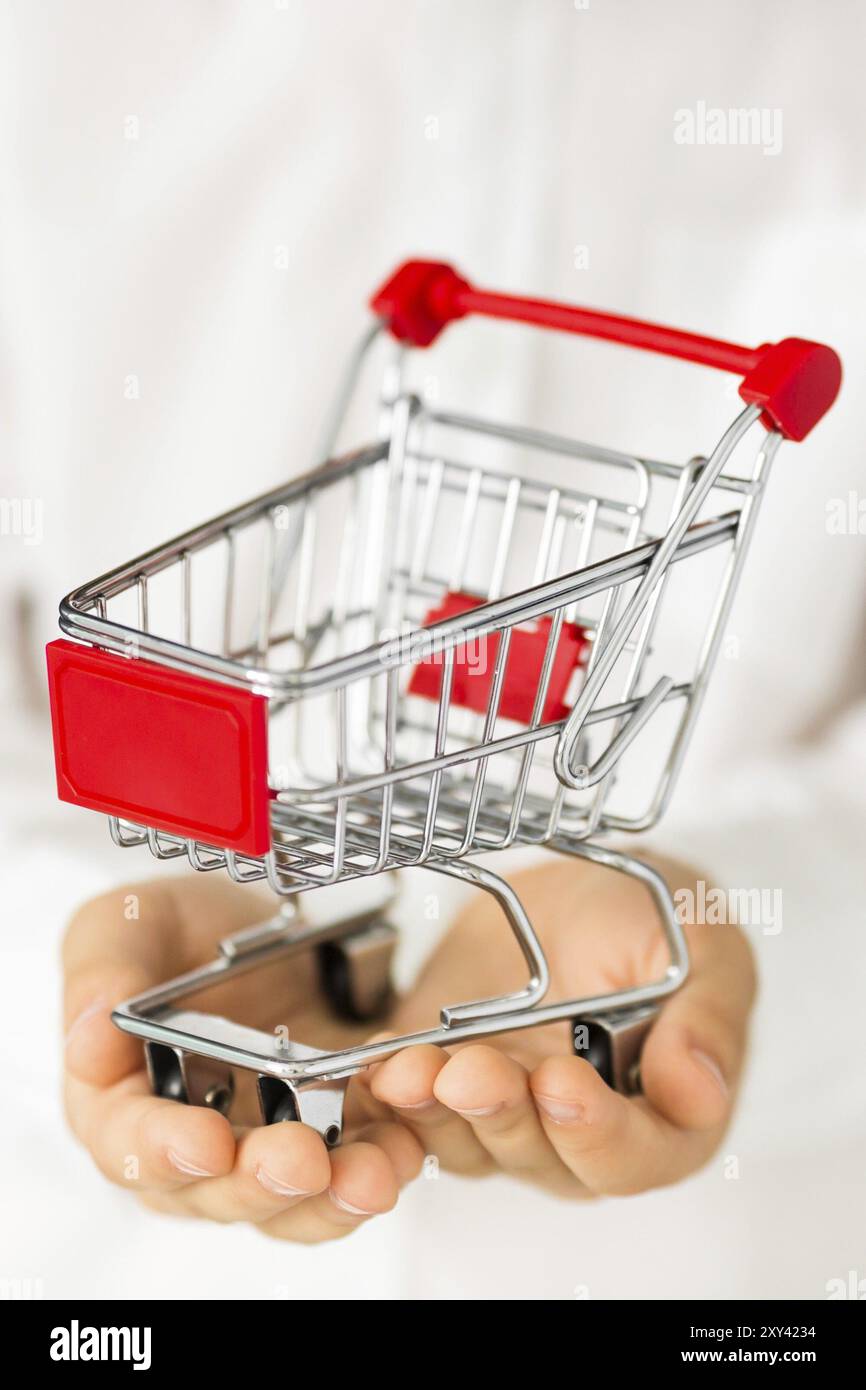 Shopping cart in hands Stock Photo - Alamy