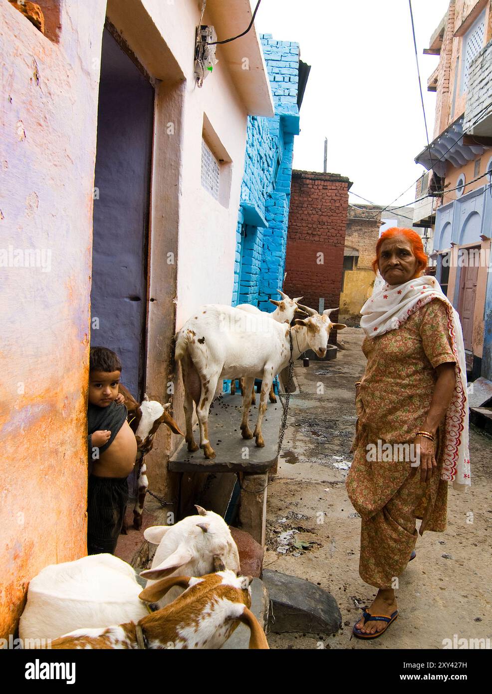 Await slaughter hi-res stock photography and images - Alamy