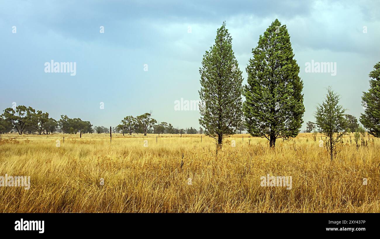Outback at Dubbo New South Wales Australia Stock Photo - Alamy