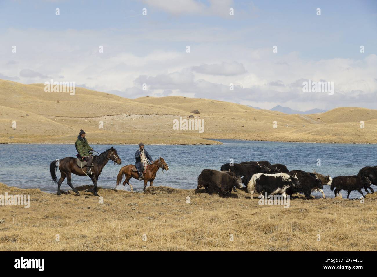 Lake Tulpar, Kyrgyzstan, October 07, 2014: Photograph of yak shepherds ...