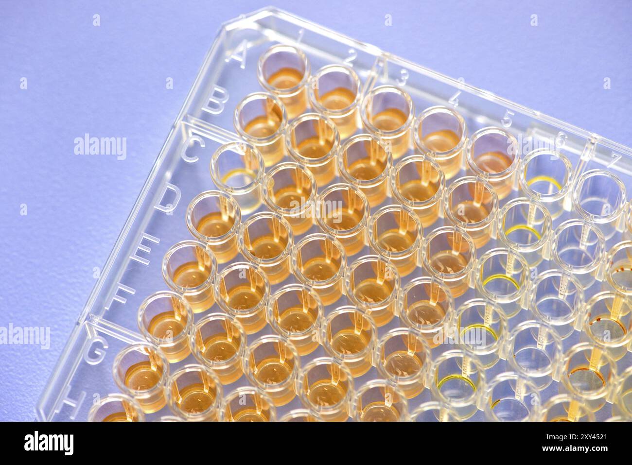 Microplate hi-res stock photography and images - Alamy