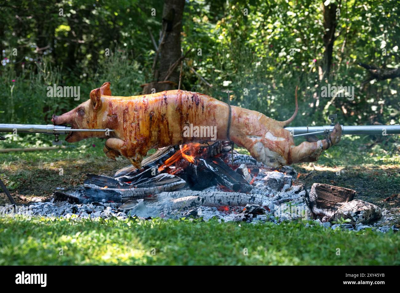 Whole pig roasted on a spit Stock Photo - Alamy