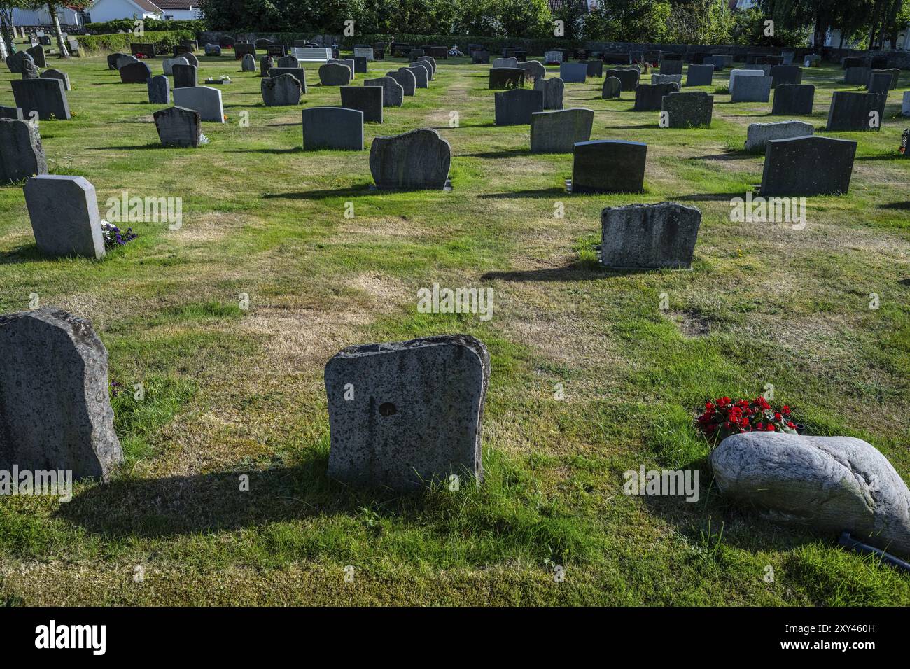 Maintained grave hi-res stock photography and images - Alamy