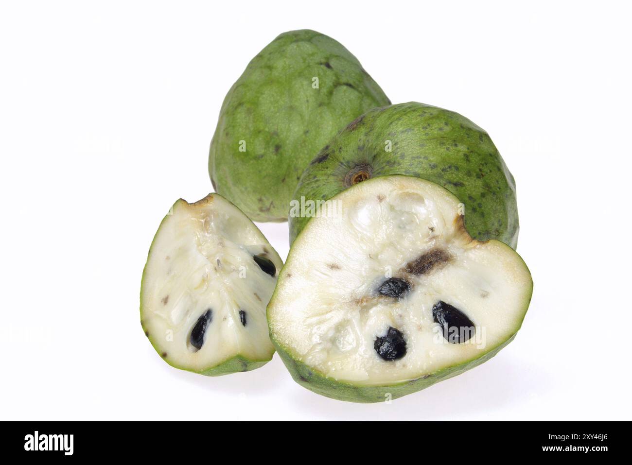 Cherimoya plant hi-res stock photography and images - Alamy