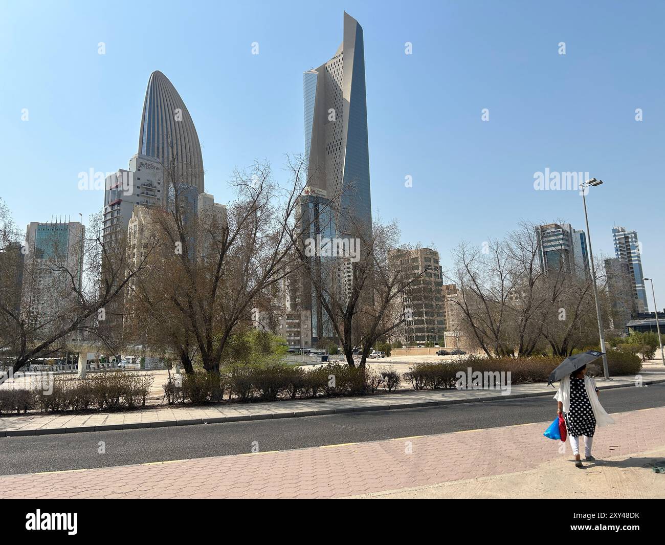 Kuwait City, Kuwait. 08th Aug, 2024. A woman walks by withered trees in ...