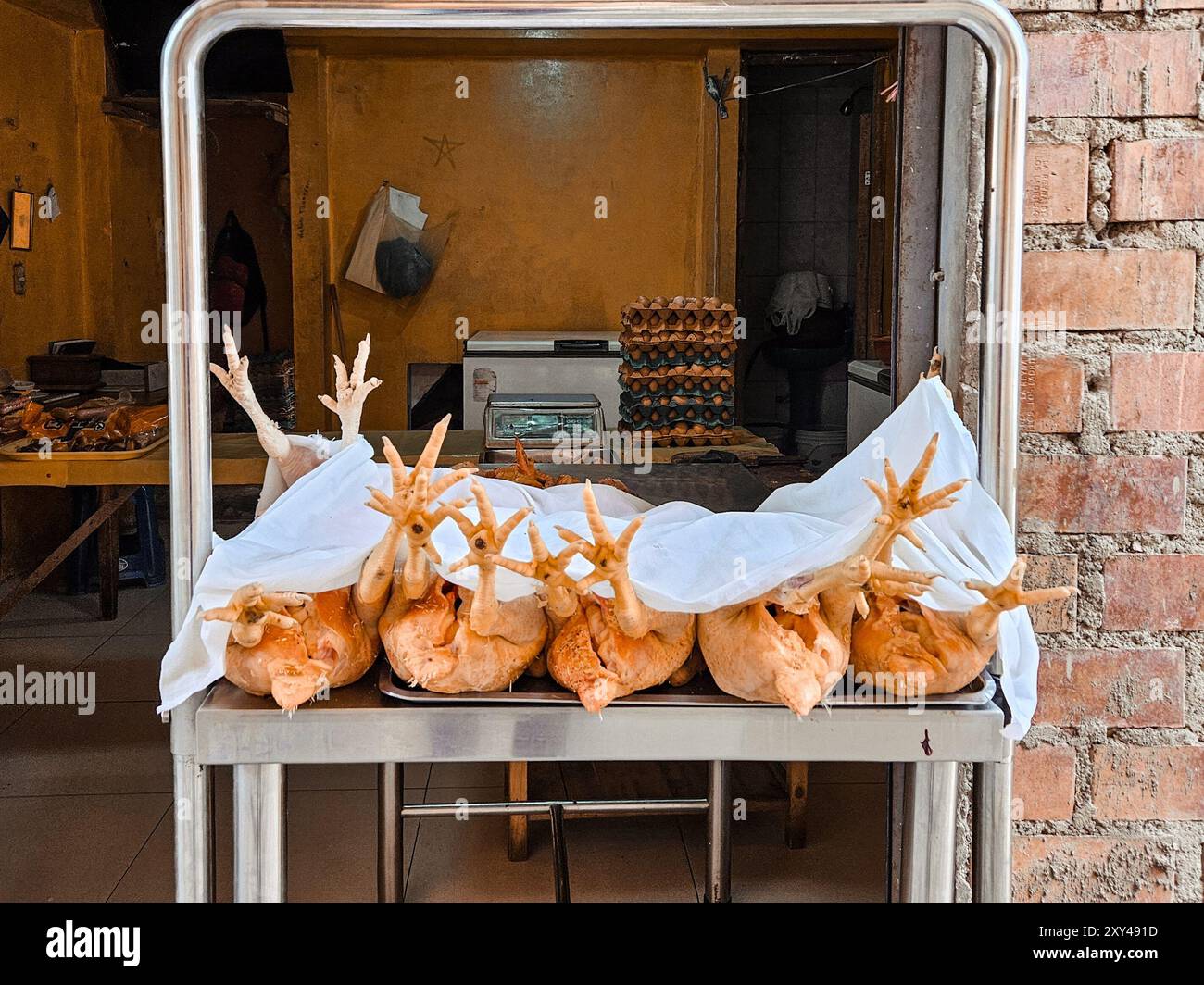 Sacred chickens hi-res stock photography and images - Alamy