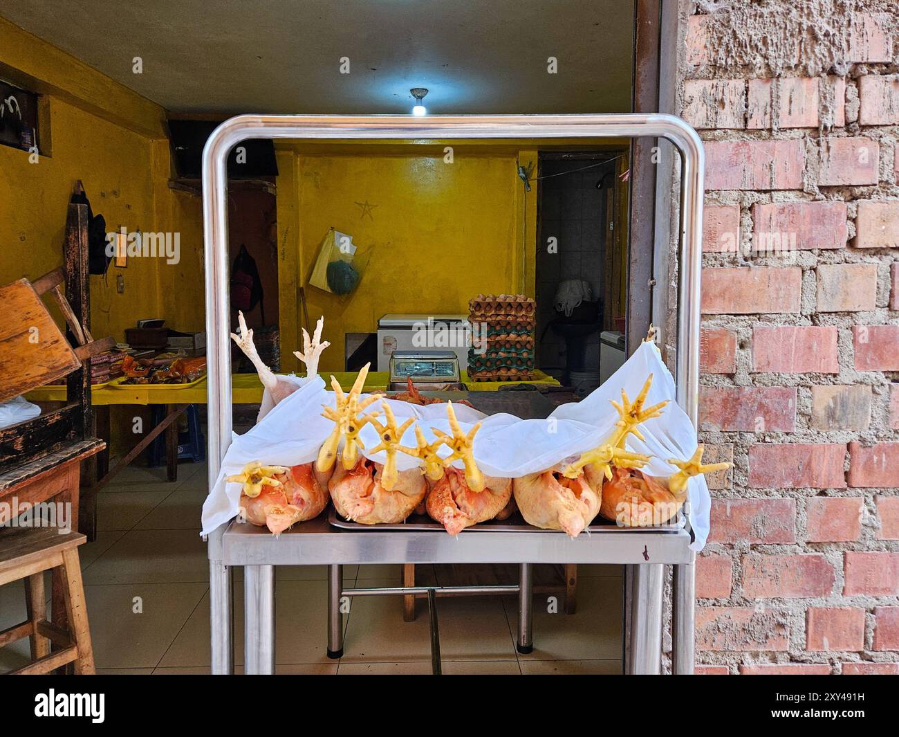 Sacred chickens hi-res stock photography and images - Alamy