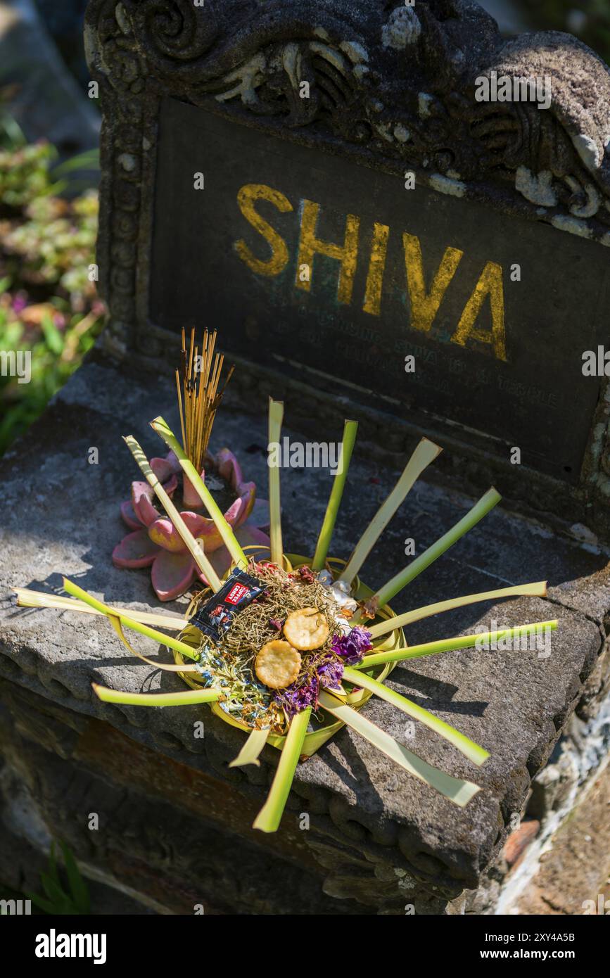 Offering, Hinduism, religion, religious, Shiva, deity, faith, Asian ...