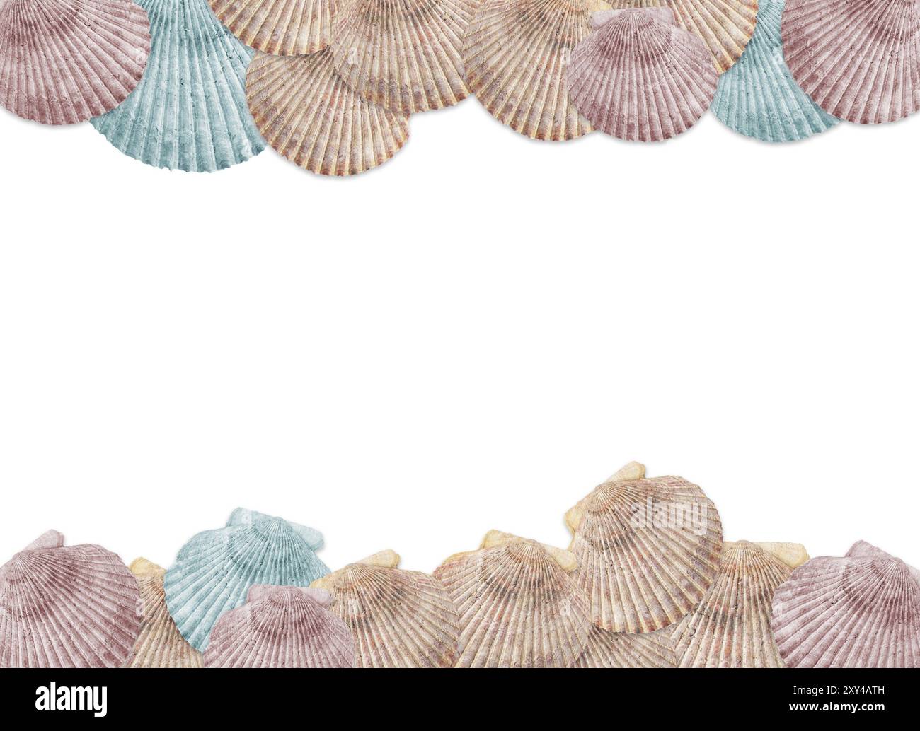 Shell frame, background Stock Photo - Alamy