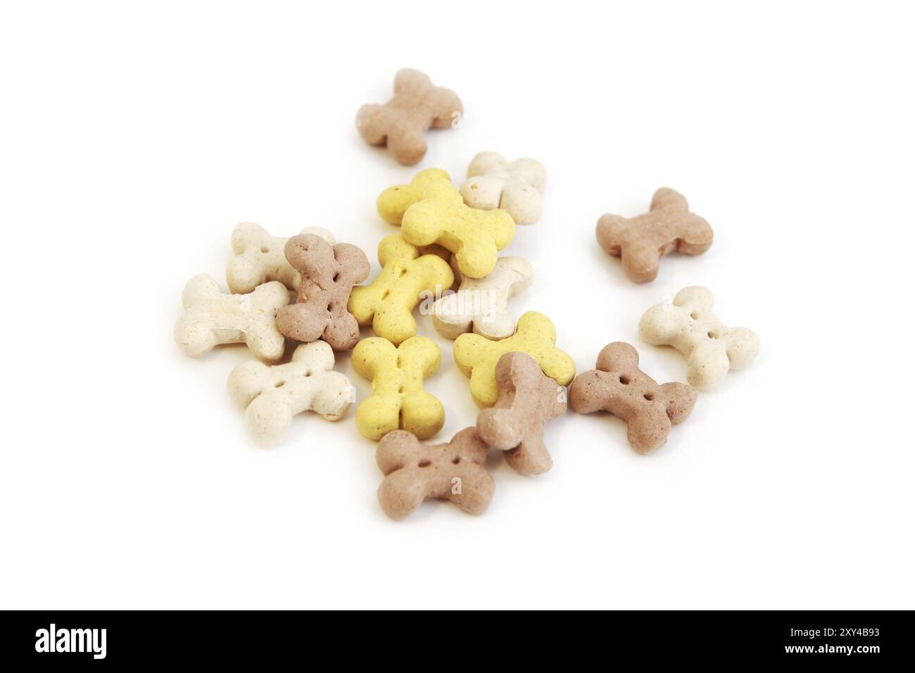 Picture of a small dog Cut Out Stock Images & Pictures - Alamy