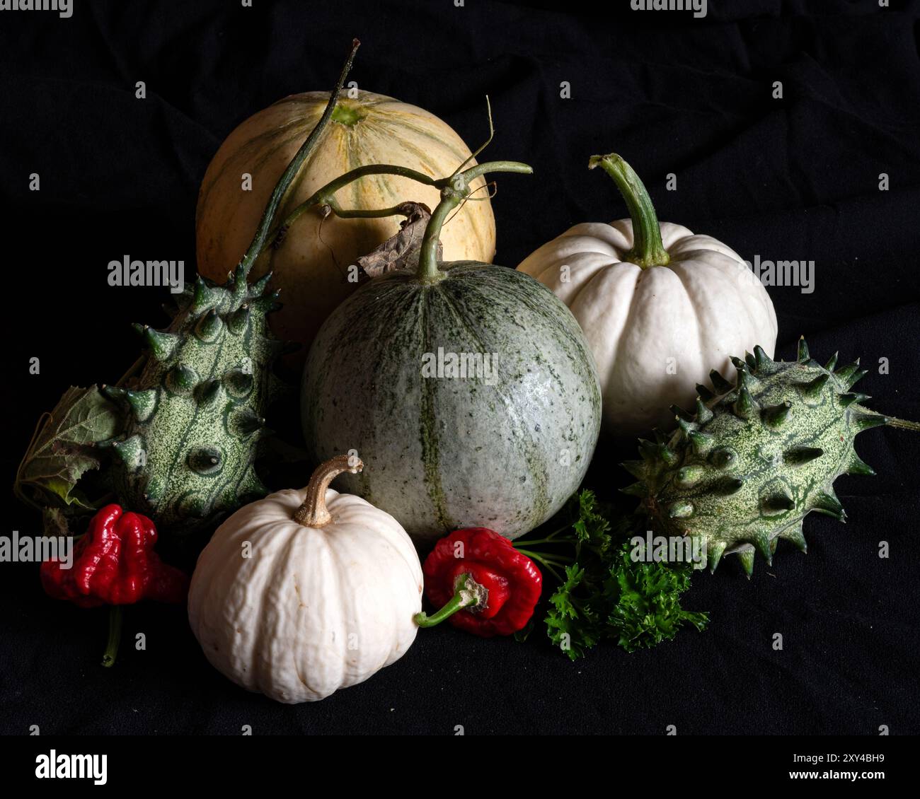 Photo of various fruits and vegetables, seasonal vegetables, autumn ...
