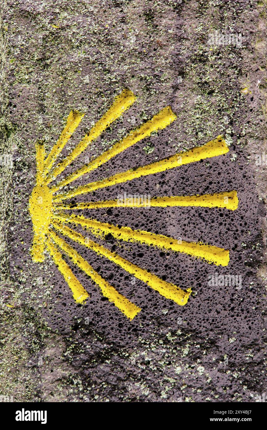 Pilgrim shell, St James shell 07 Stock Photo - Alamy