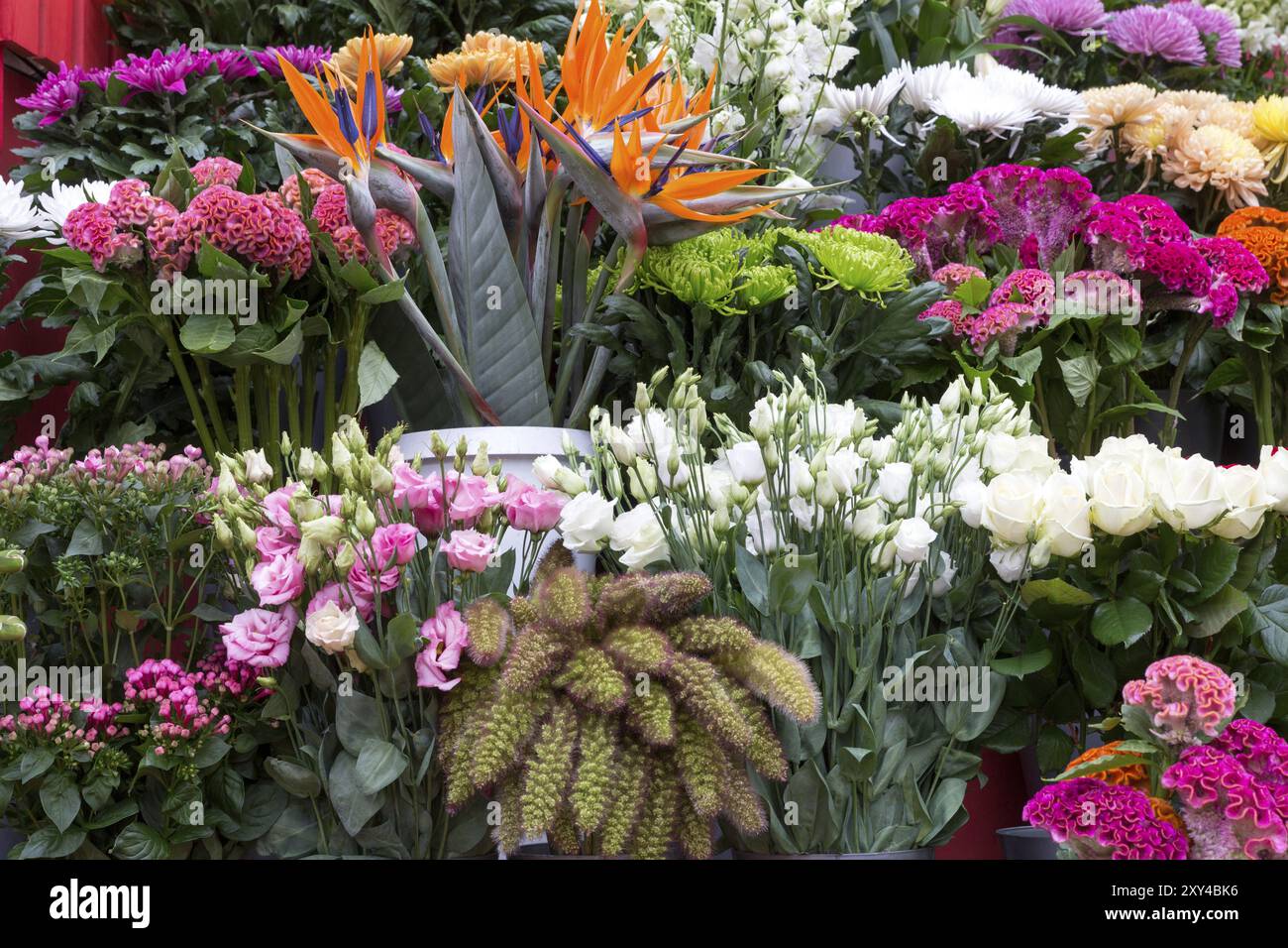 Shop front decorated with flowers hi-res stock photography and images ...