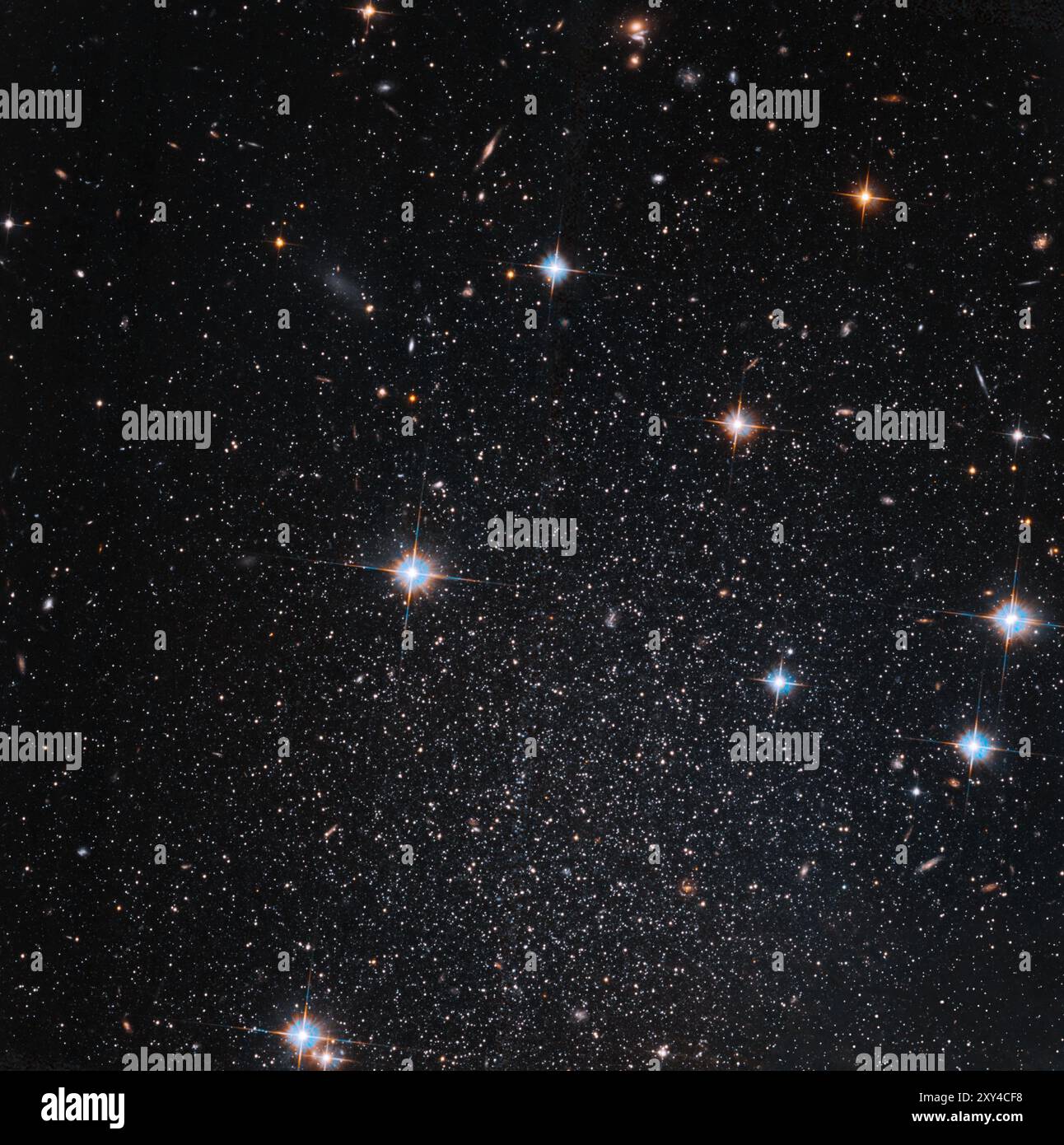 Dwarf Andromeda Galaxies