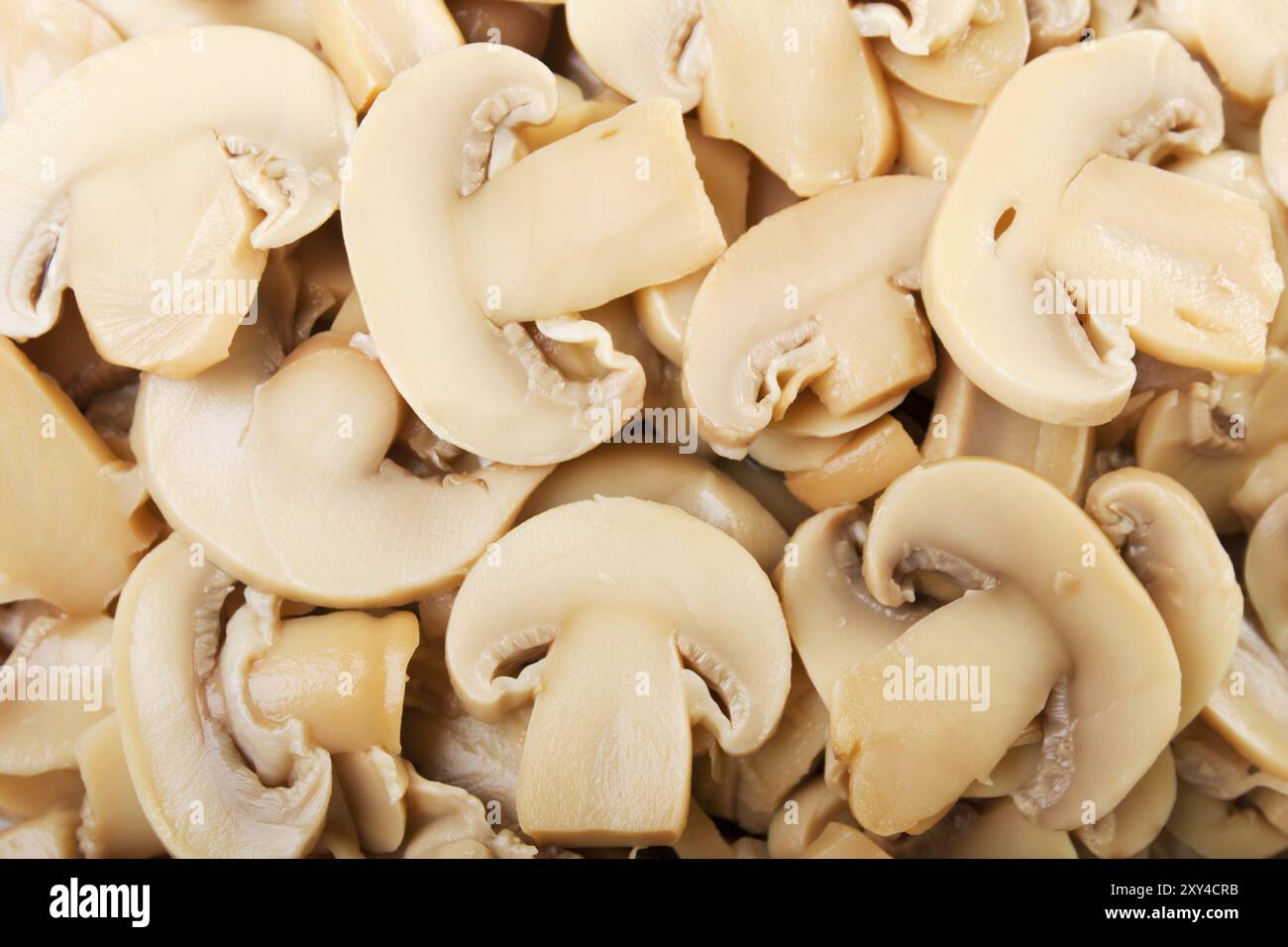 Healthy eating vegetable fungus, edible mushroom Stock Photo - Alamy