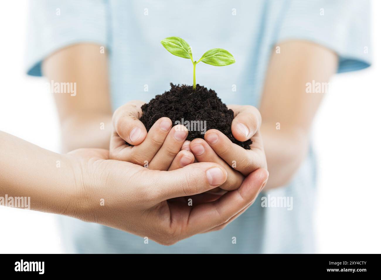 New life concept, parent and child hands holding small green plant ...